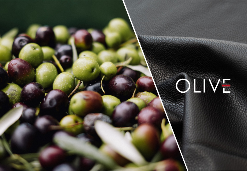 Arkimedia / Beyond the skin - OLIVE: A NEW MATERIAL IS BORN FROM THE ...